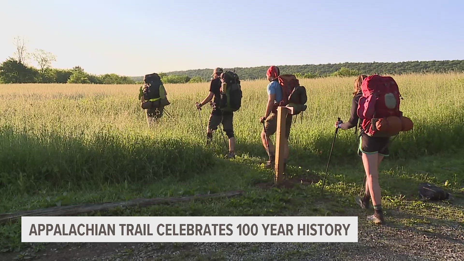 War II crew honored 80 years after being lost in the Pacific | fox43.com