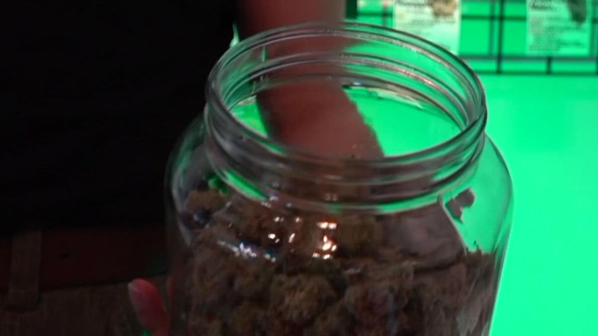 Local businesses raise alarm over federal hemp ban that could devastate ...