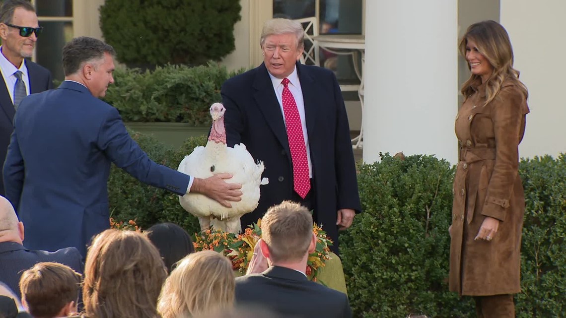 President Trump spares turkey named ‘Butter’ with a Thanksgiving pardon ...
