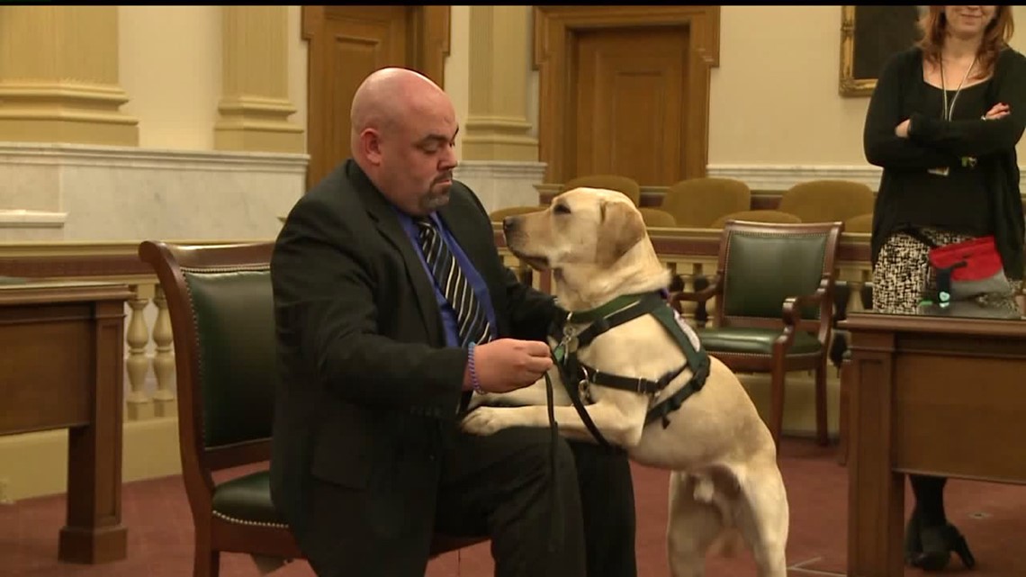 York County judge introduces new furry friend to help juvenile ...