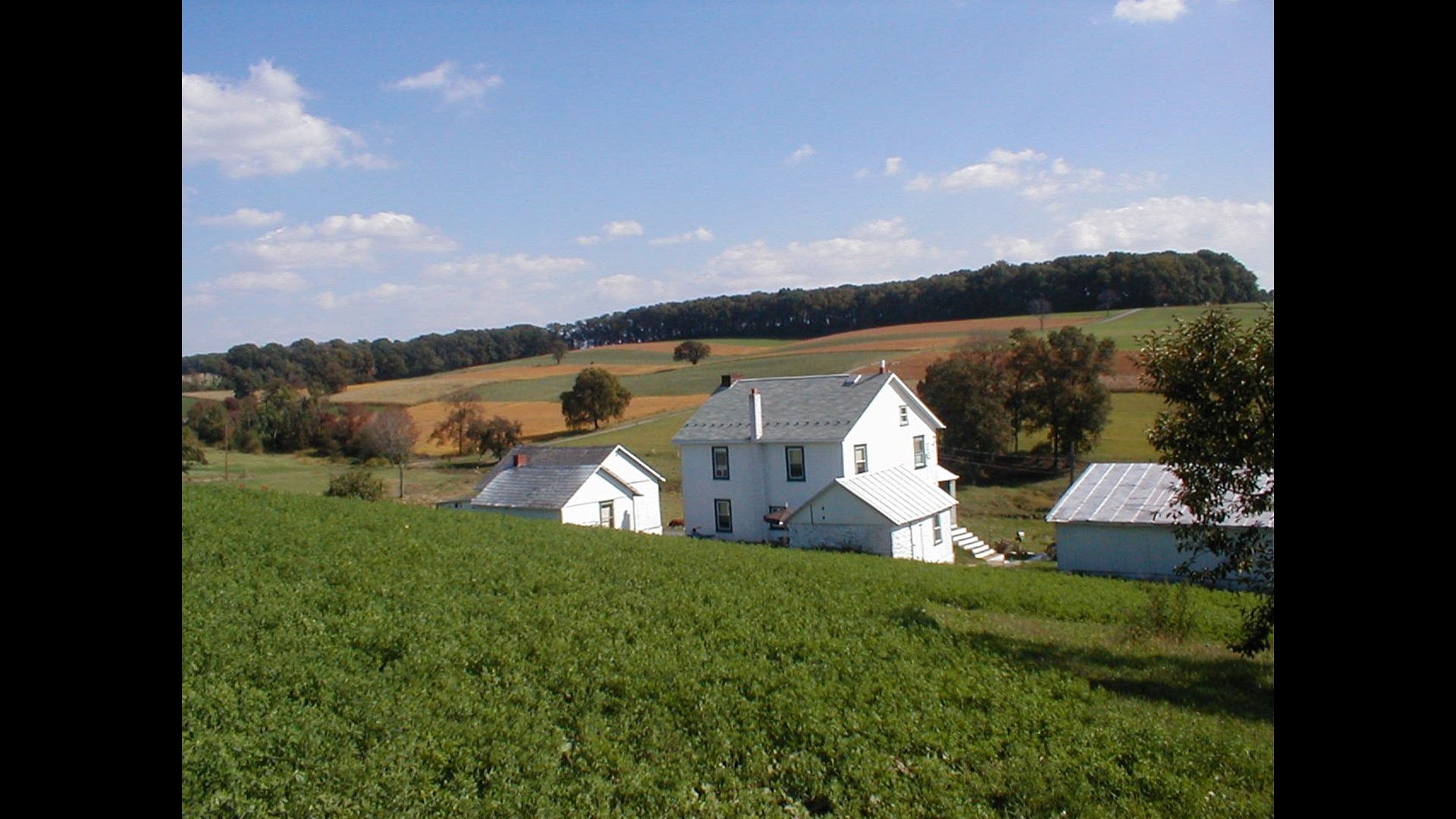 Pennsylvania adds 21 farms, more than 1,400 acres to preservation ...