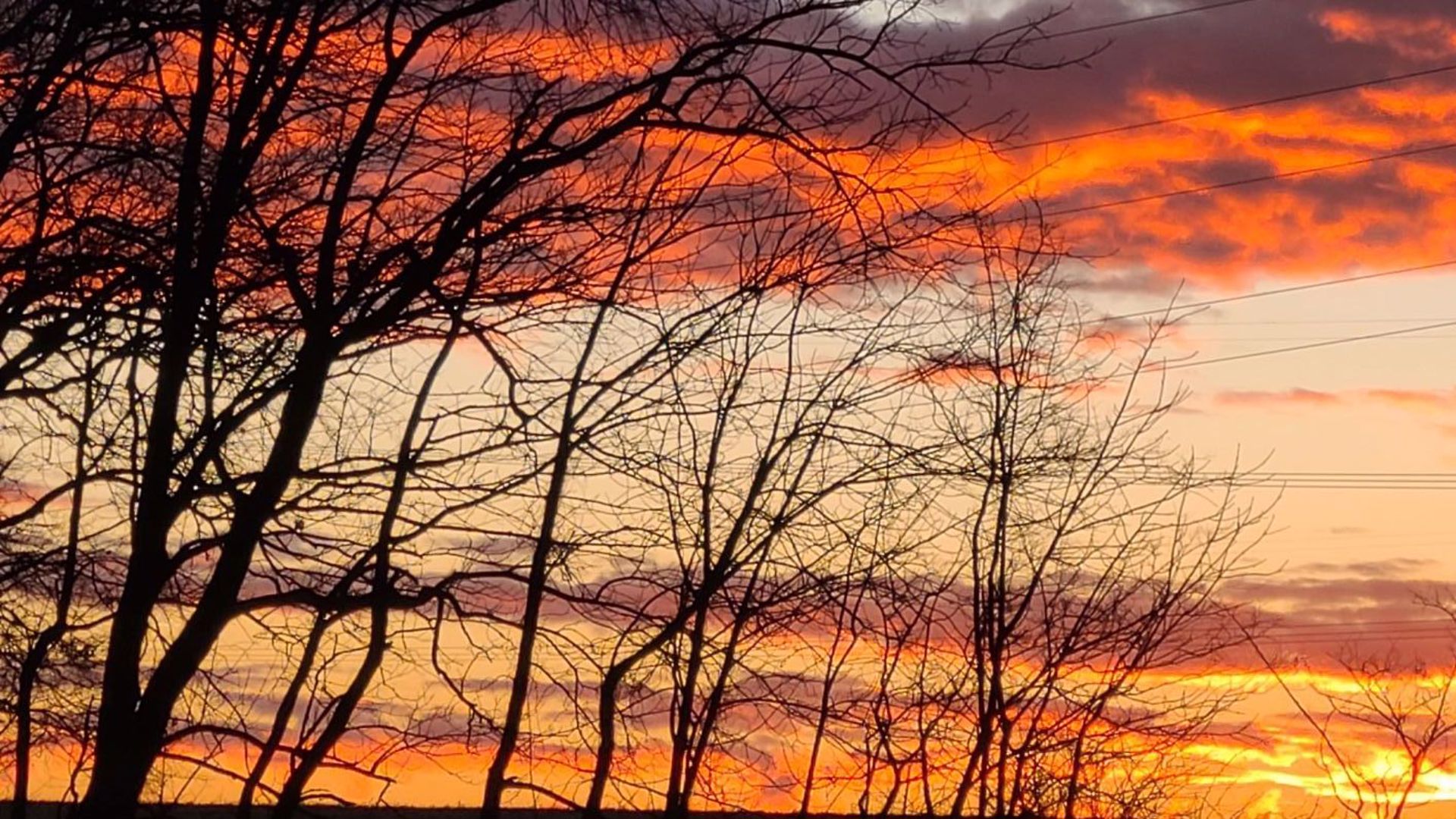 Winter in central Pennsylvania: PHOTO GALLERY | fox43.com