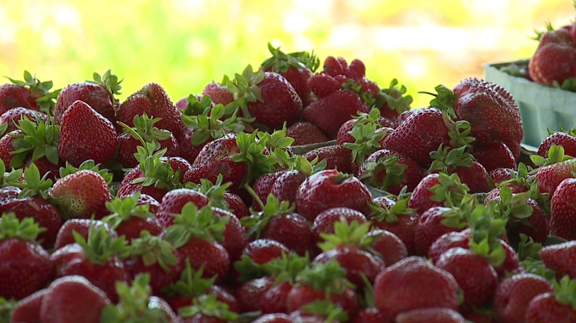 Discover top strawberry picking spots near you | fox43.com