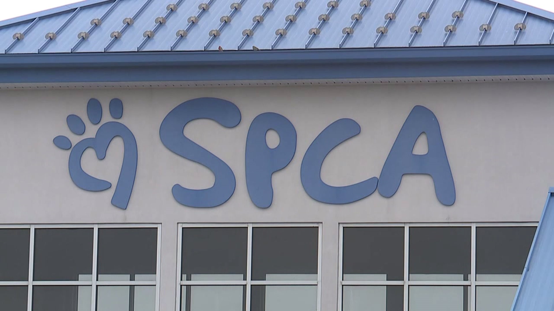 Adopt an animal for any price with SPCA campaign | fox43.com