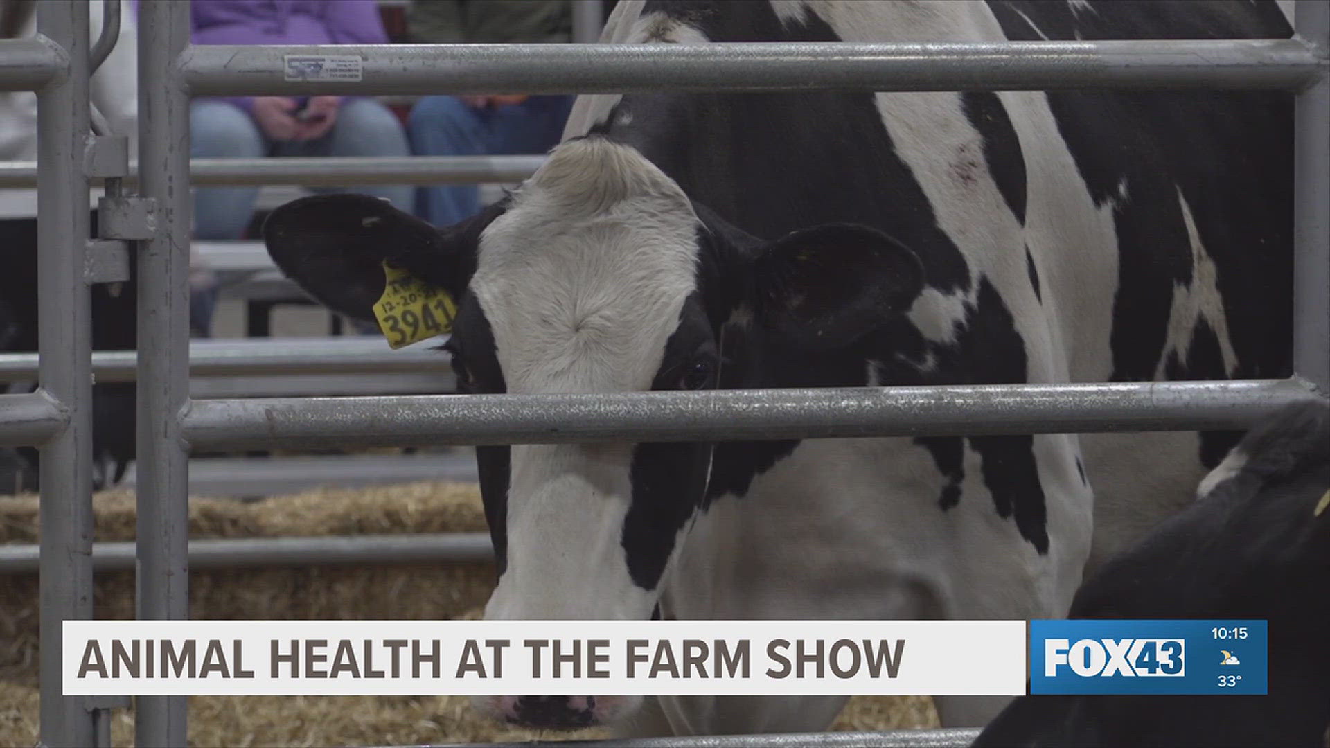 Farm Show staff prioritize animal health | fox43.com