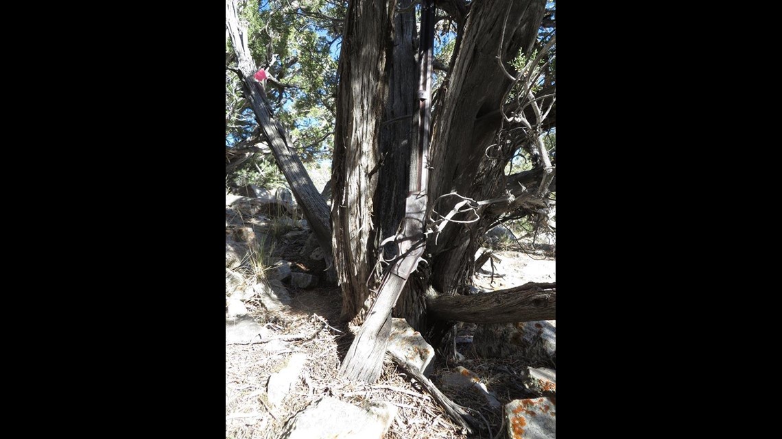 132-year-old Winchester rifle found propped against desert tree in ...