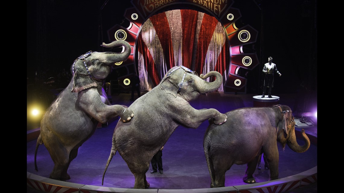 Senator Leach and Lieutenant Governor Stack Praise Circus Elephant ...
