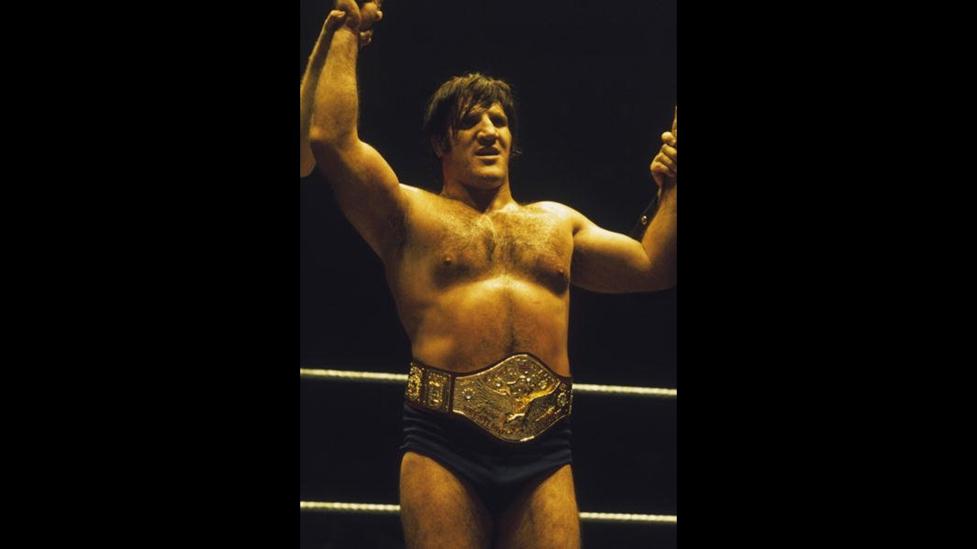 Legendary pro wrestler Bruno Sammartino dies at age 82 | fox43.com