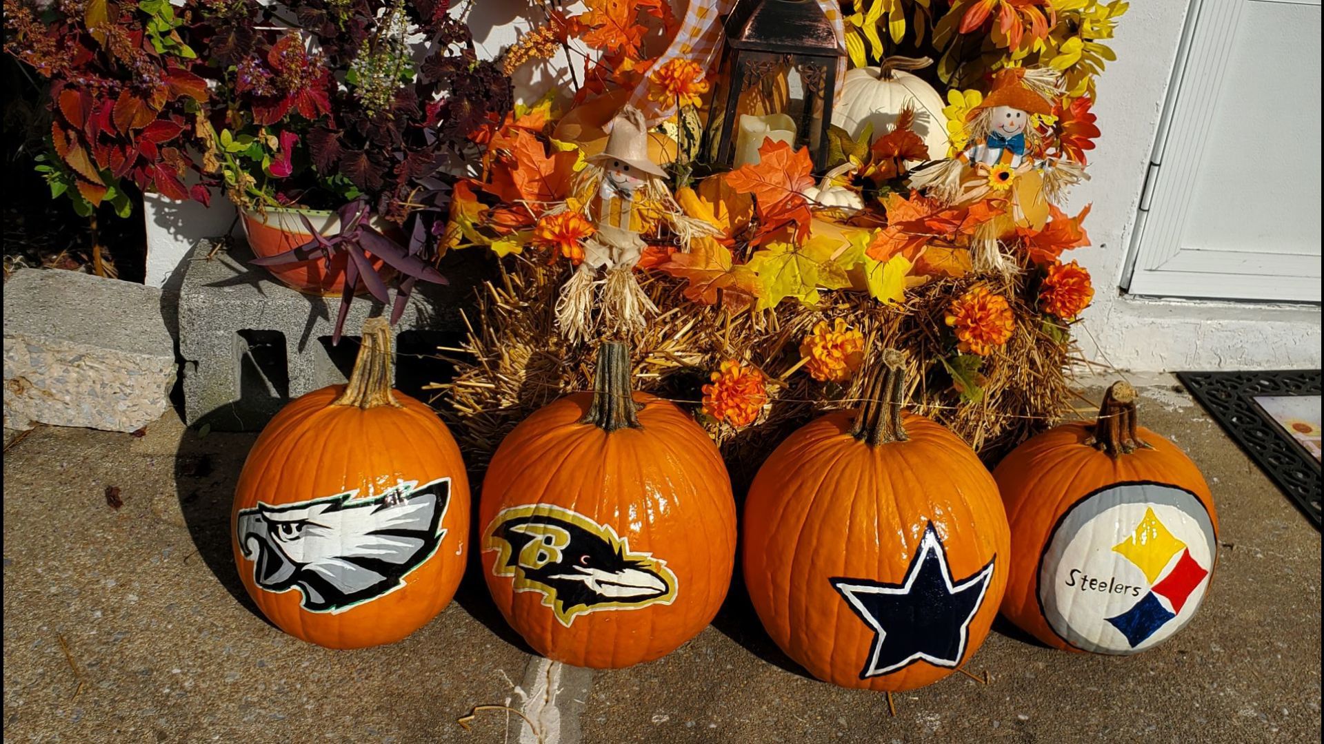 Fall emerges across central Pa. | PHOTO GALLERY | fox43.com