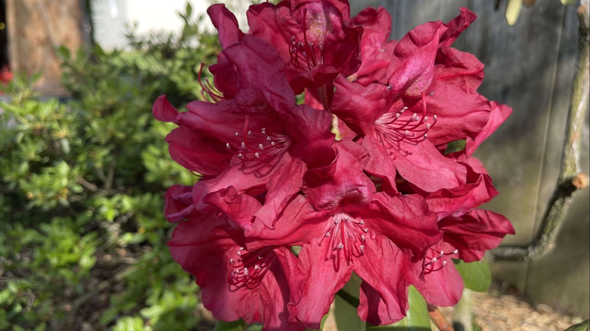 Sights of spring across Central Pa. | fox43.com