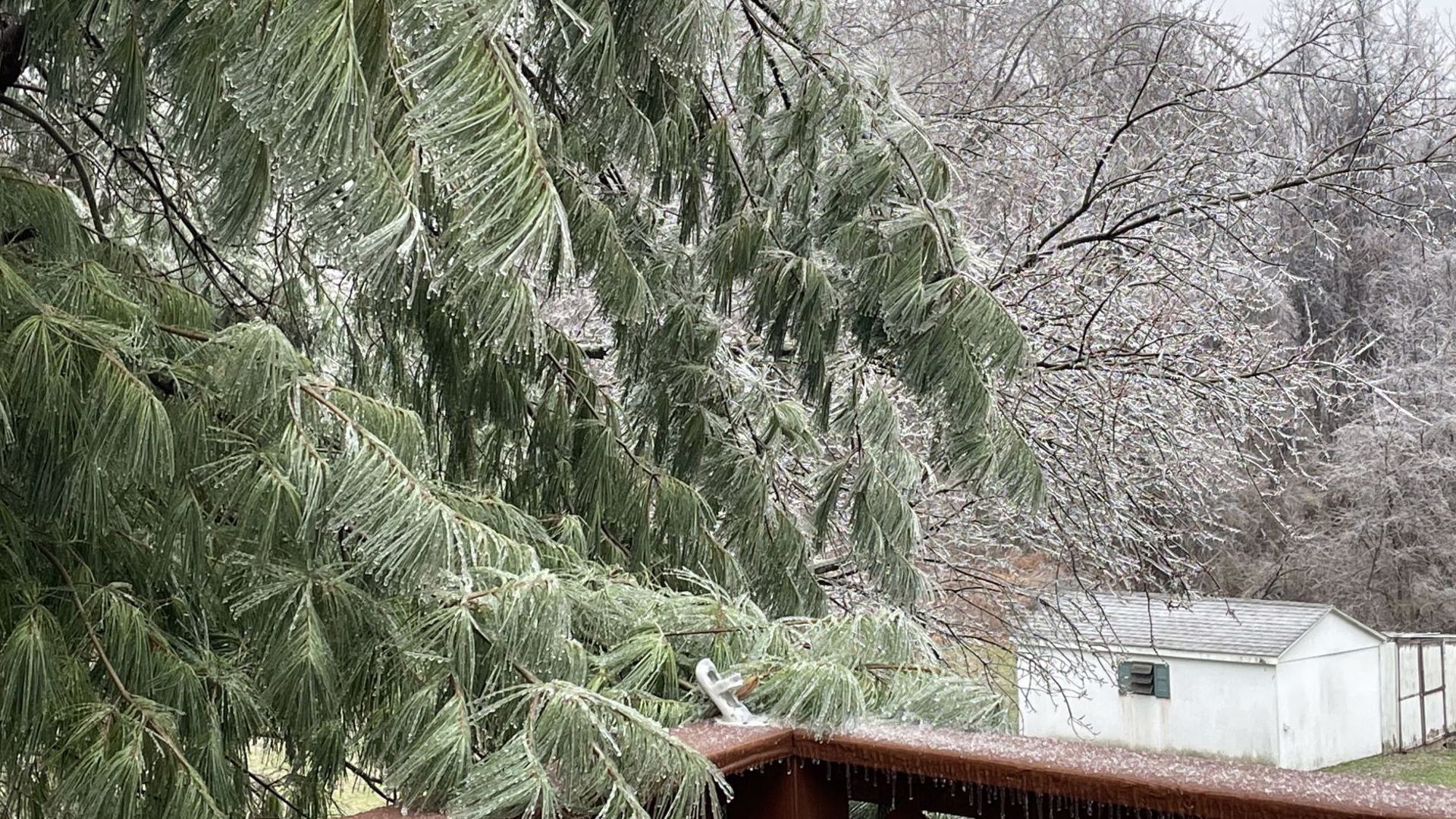 Winter in central Pennsylvania: PHOTO GALLERY | fox43.com