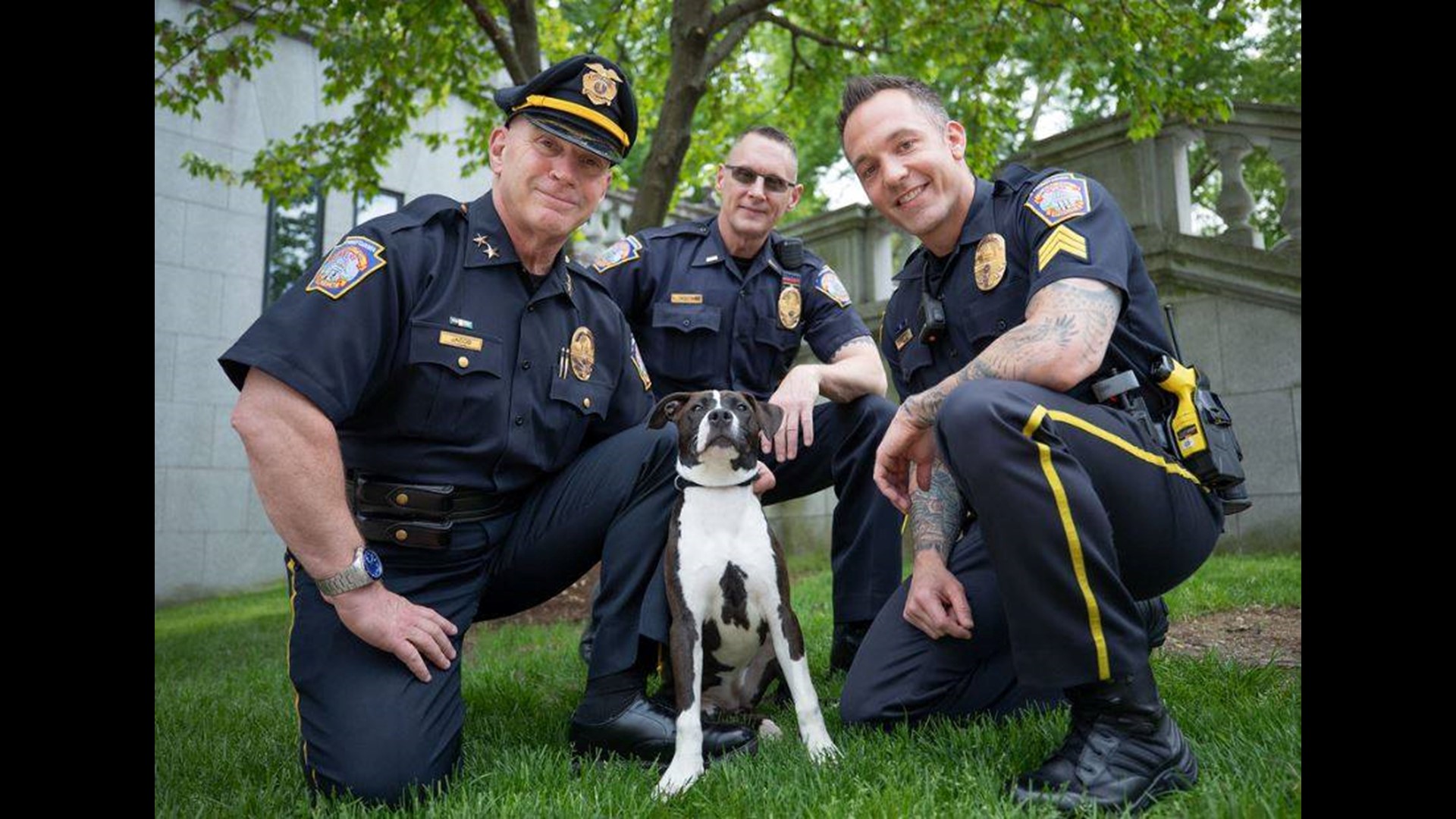 Meet ‘Cappy,’ the newest honorary member of the Pennsylvania Capitol ...