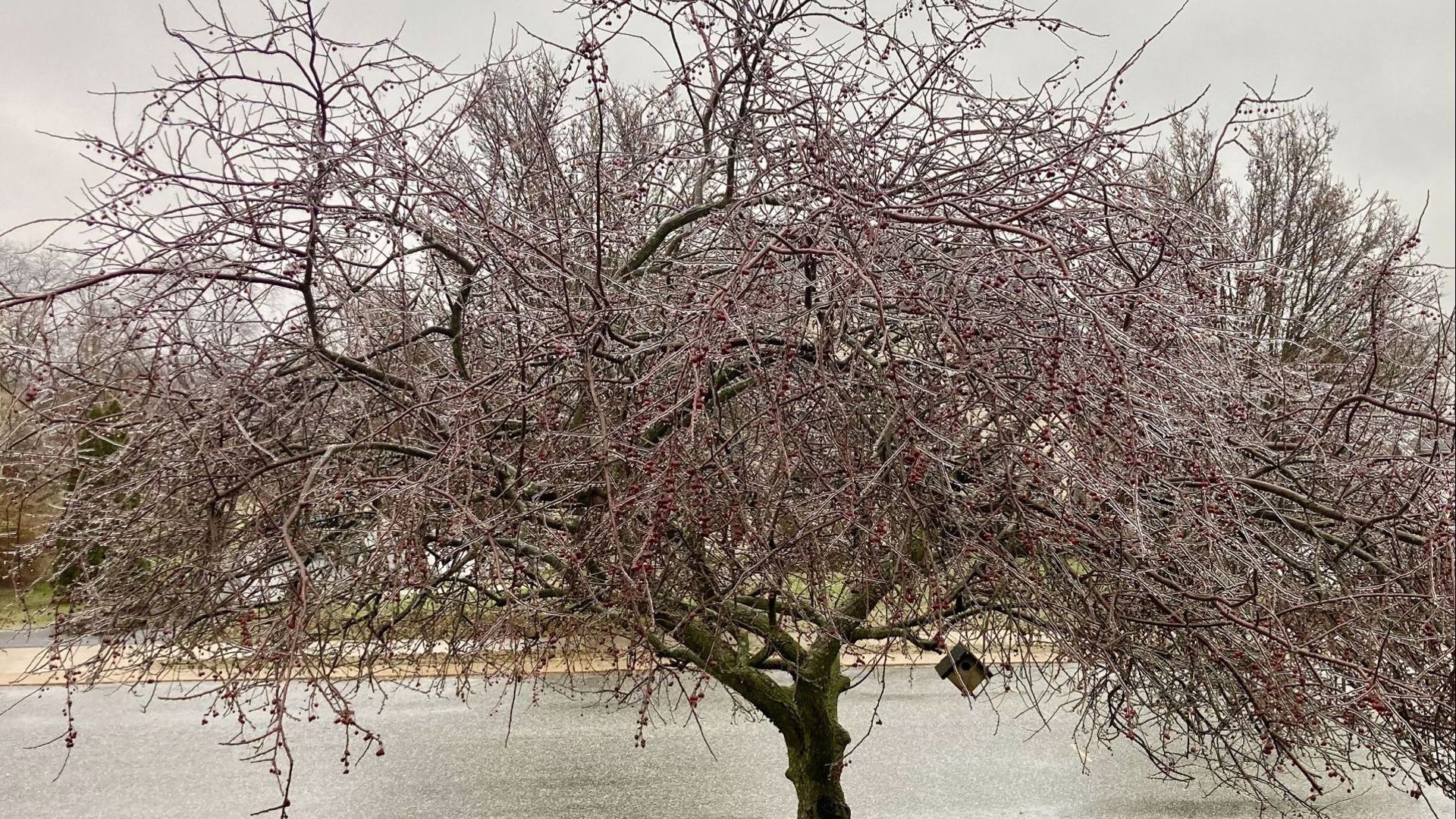 Winter in central Pennsylvania: PHOTO GALLERY | fox43.com