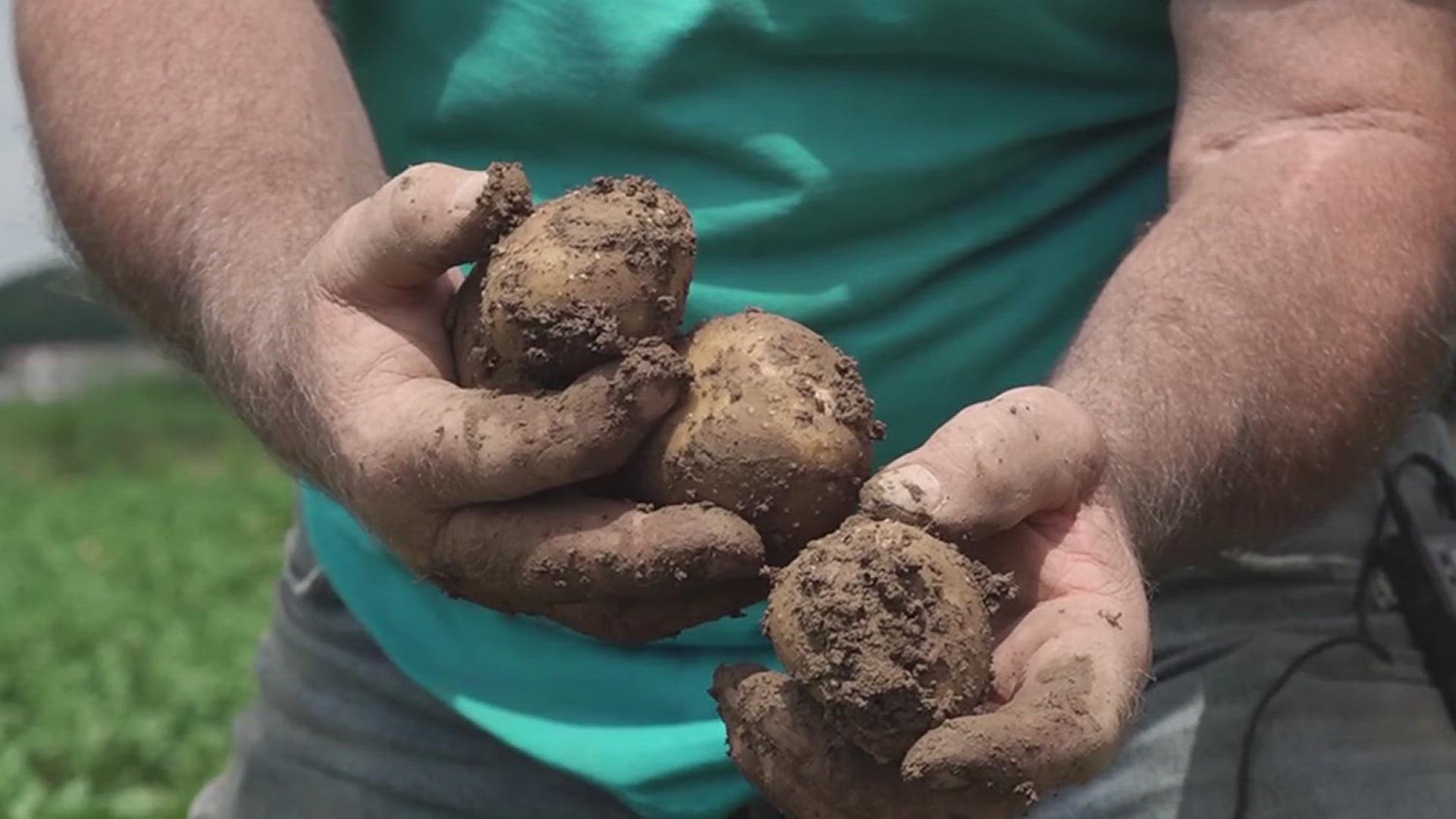 Lancaster farm battles flooding with mobile food trailer | wnep.com