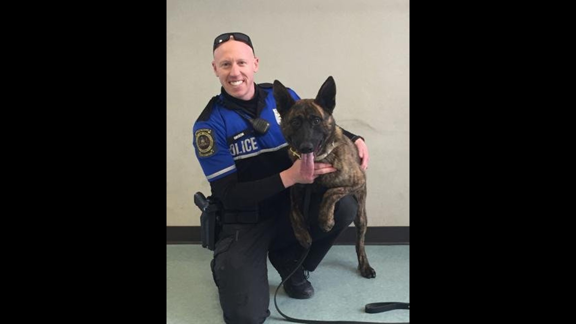 Swatara Township police welcome K9 officer Kix | fox43.com