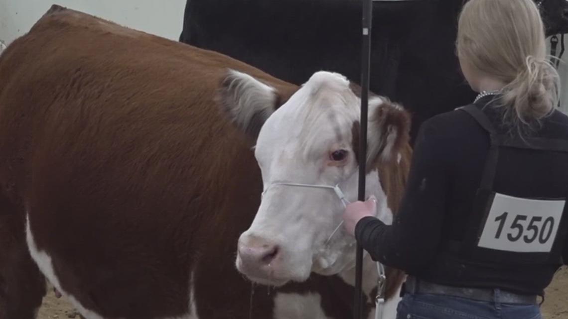 Pennsylvania Farm Show producers face economic challenges in their ...