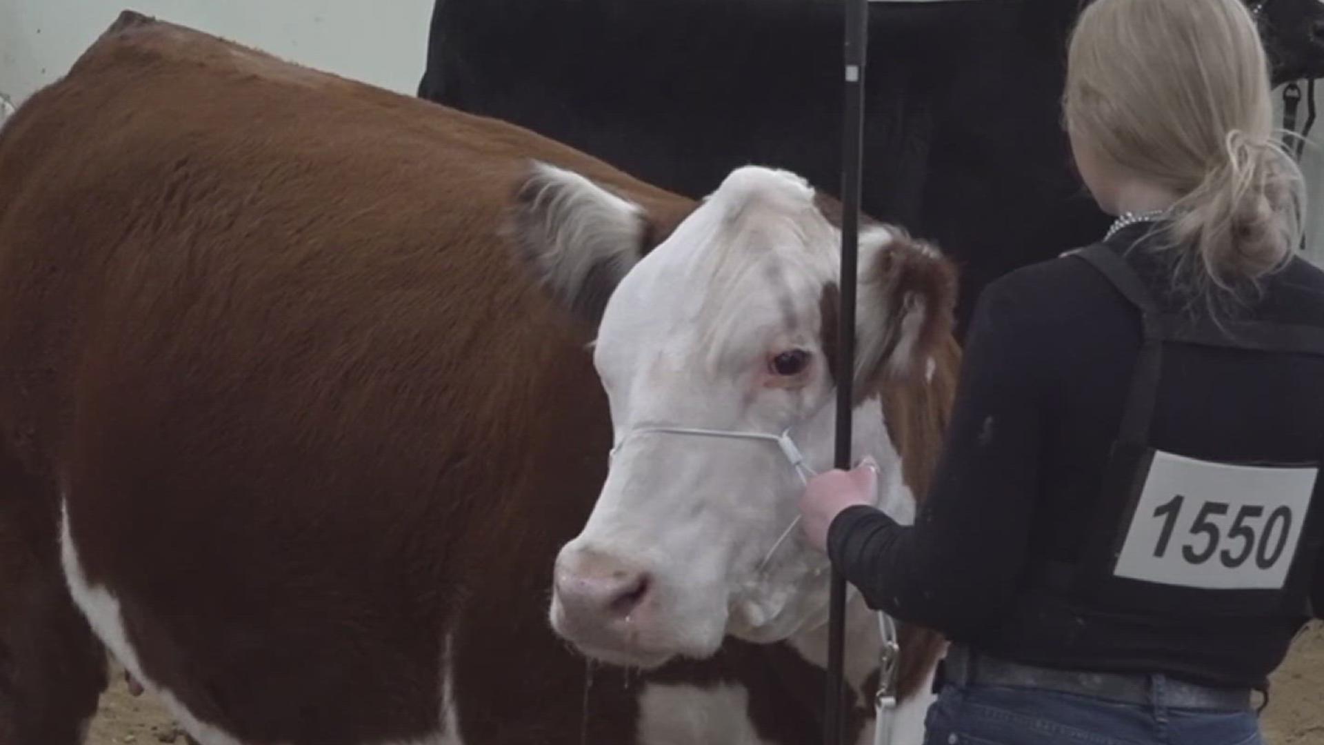 New Lancaster nonprofit acquires first affordable housing property ...