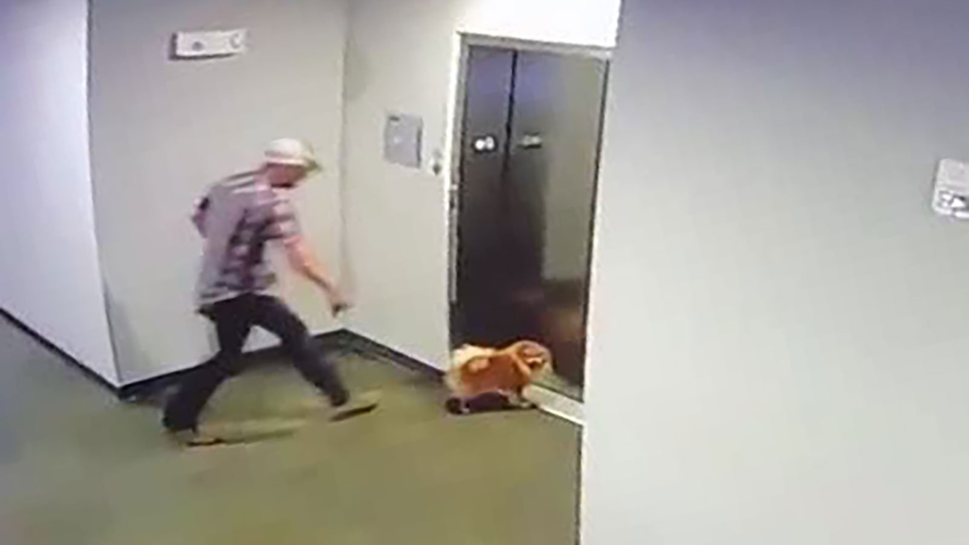 Video shows man rescuing neighbor’s dog after leash got stuck in ...