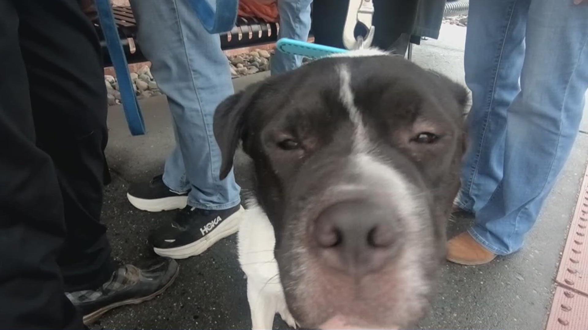 Balmer transferred to SCI Waymart | fox43.com