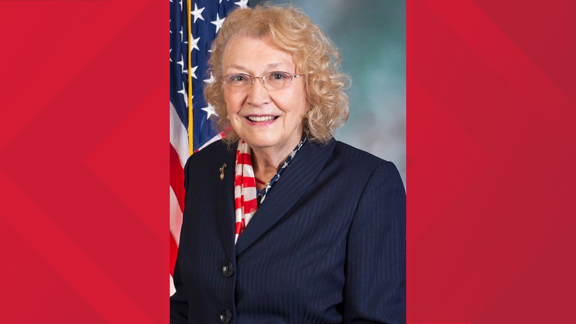 Rep. Susan Helm: Running for re-election in PA State House 104th ...