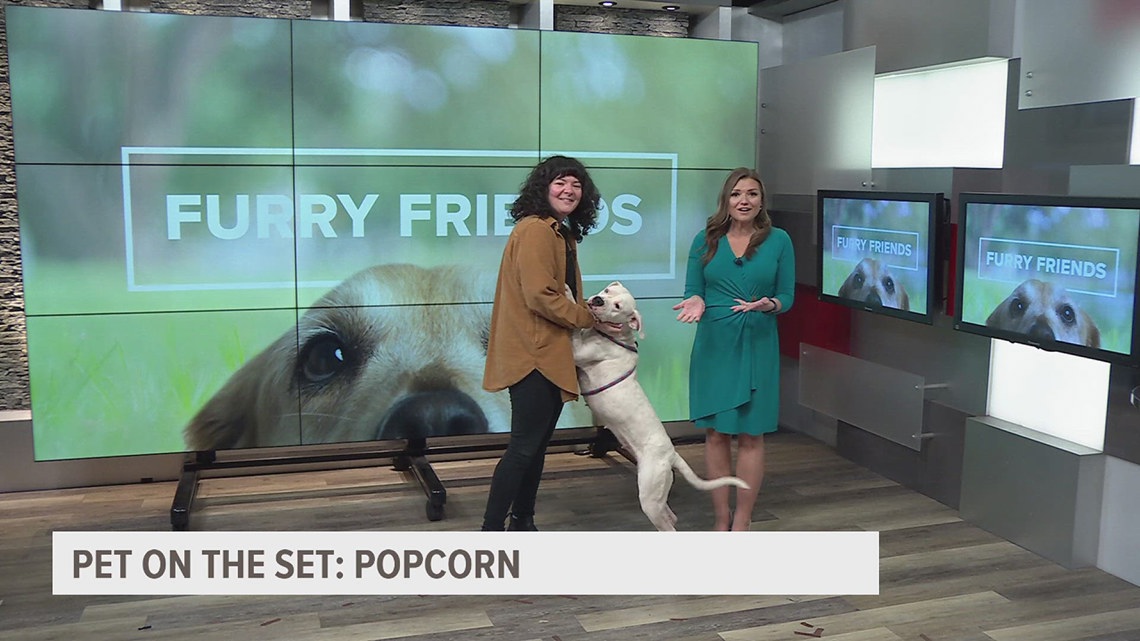 Furry Friends | Meet Popcorn! | fox43.com