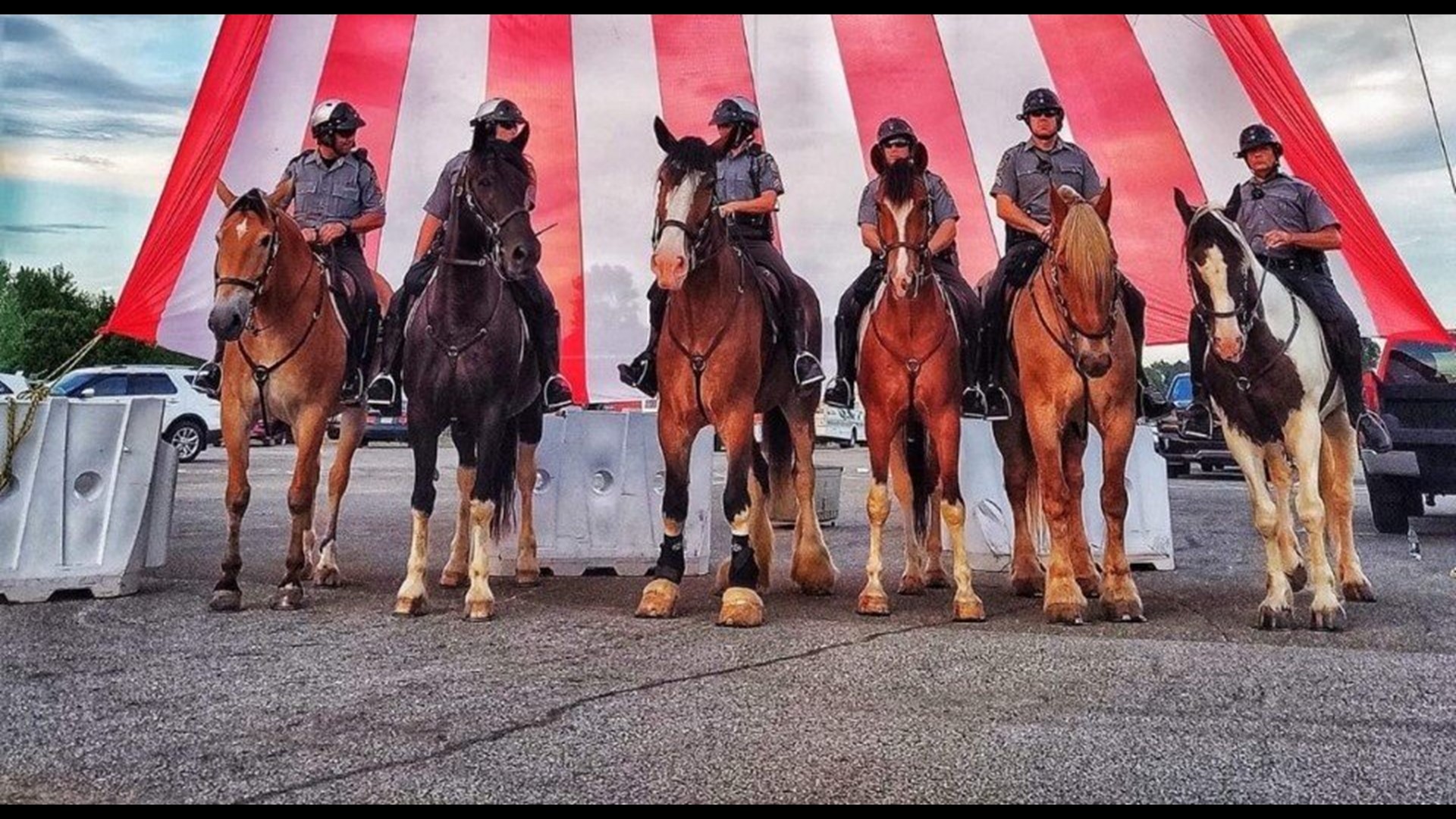 State Police are seeking donated horses to fill out their mounted ...