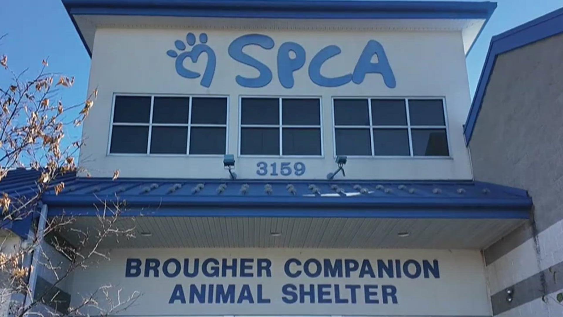 Crash on Delta Road Closes Traffic; Emergency Crews Respond | fox43.com