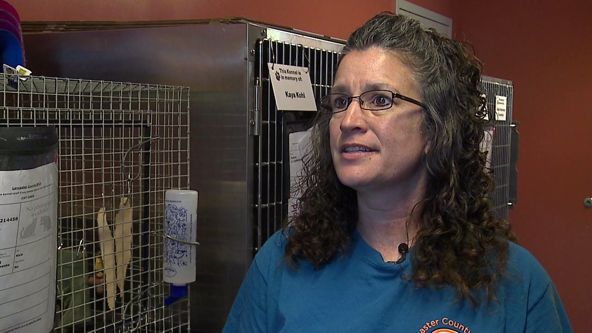 Susan Martin resigns as Executive Director of Lancaster County SPCA ...