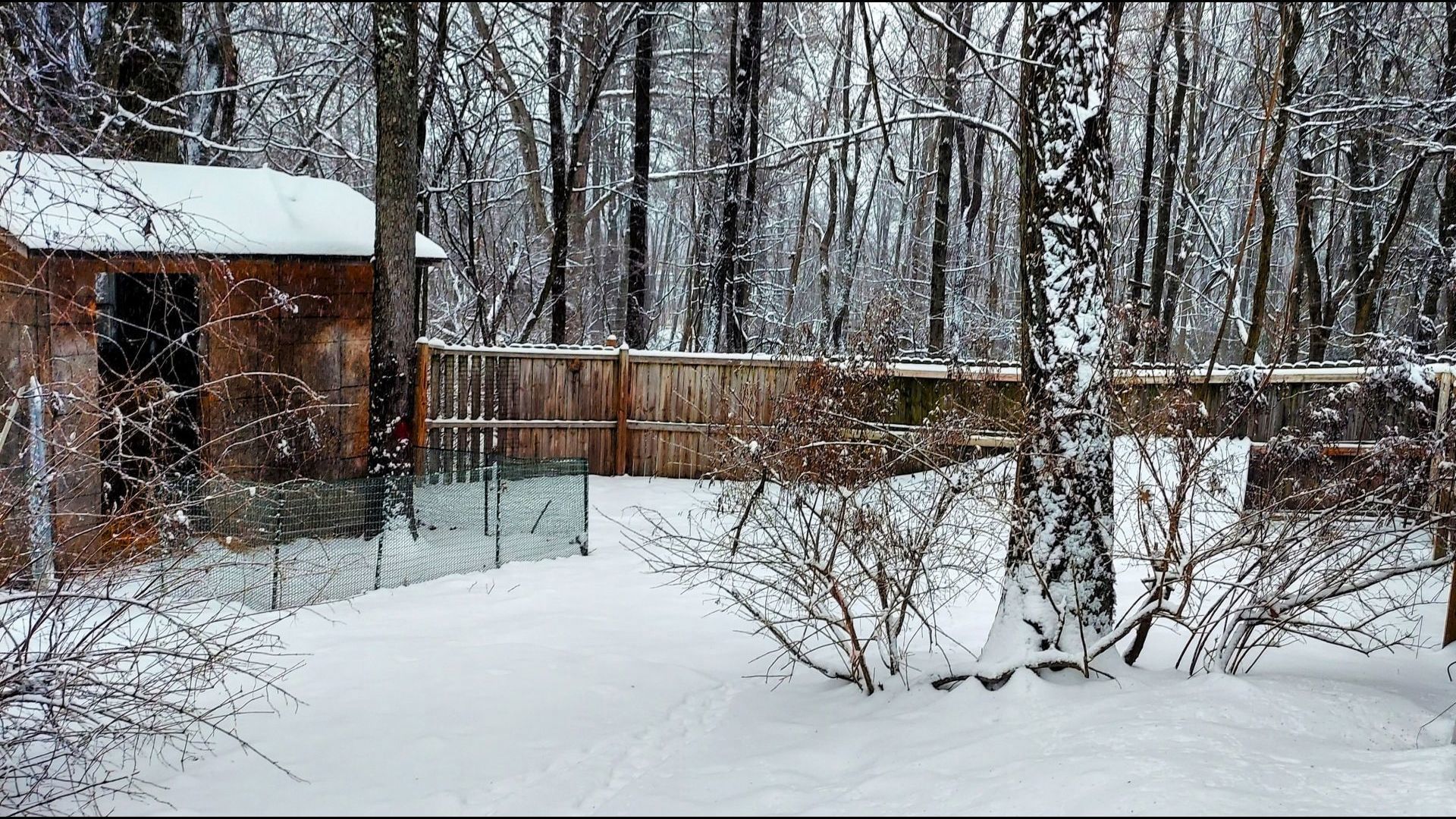 PHOTOS: Snow day fun in central Pennsylvania | fox43.com