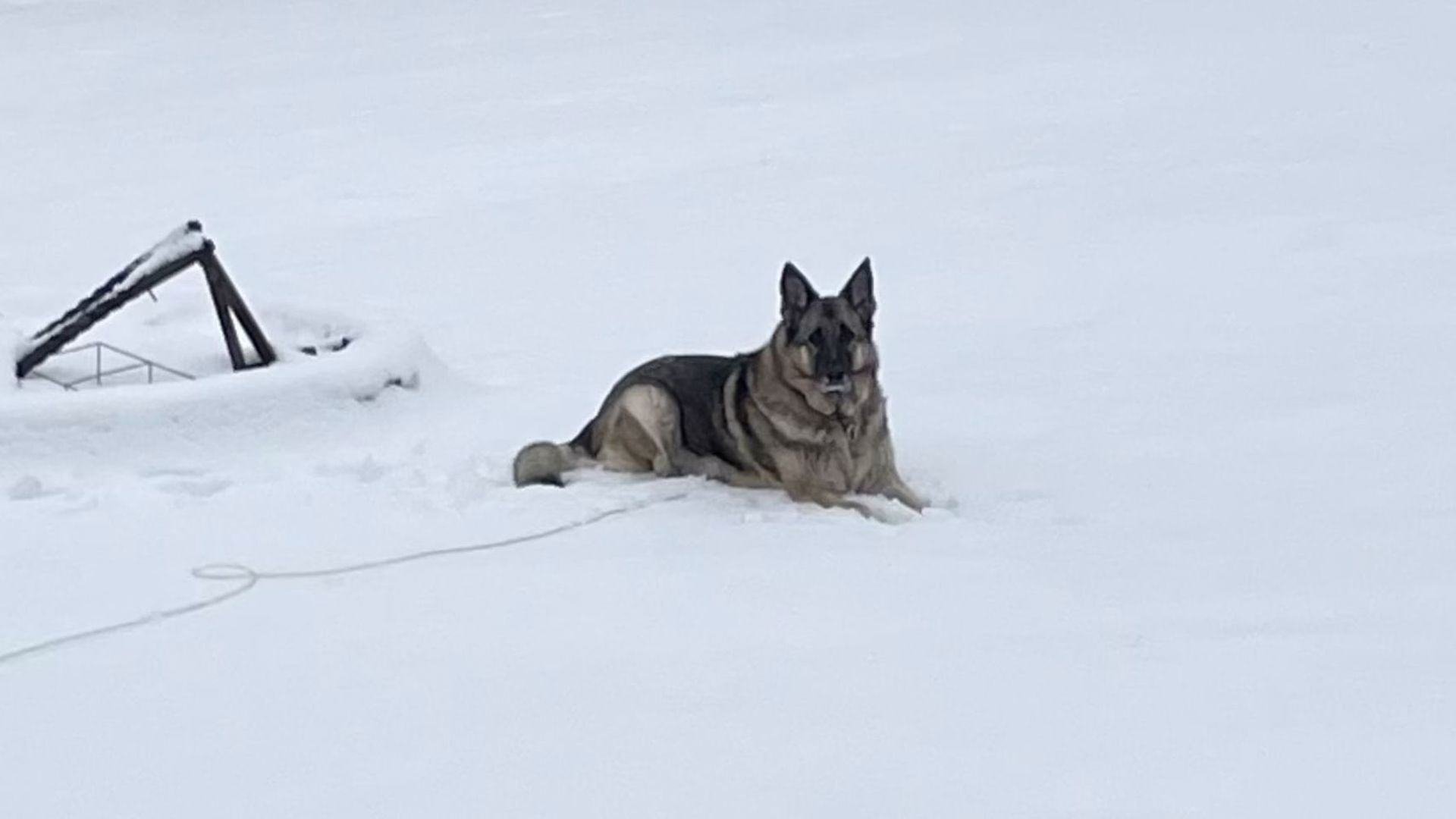 Winter in central Pennsylvania: PHOTO GALLERY | fox43.com