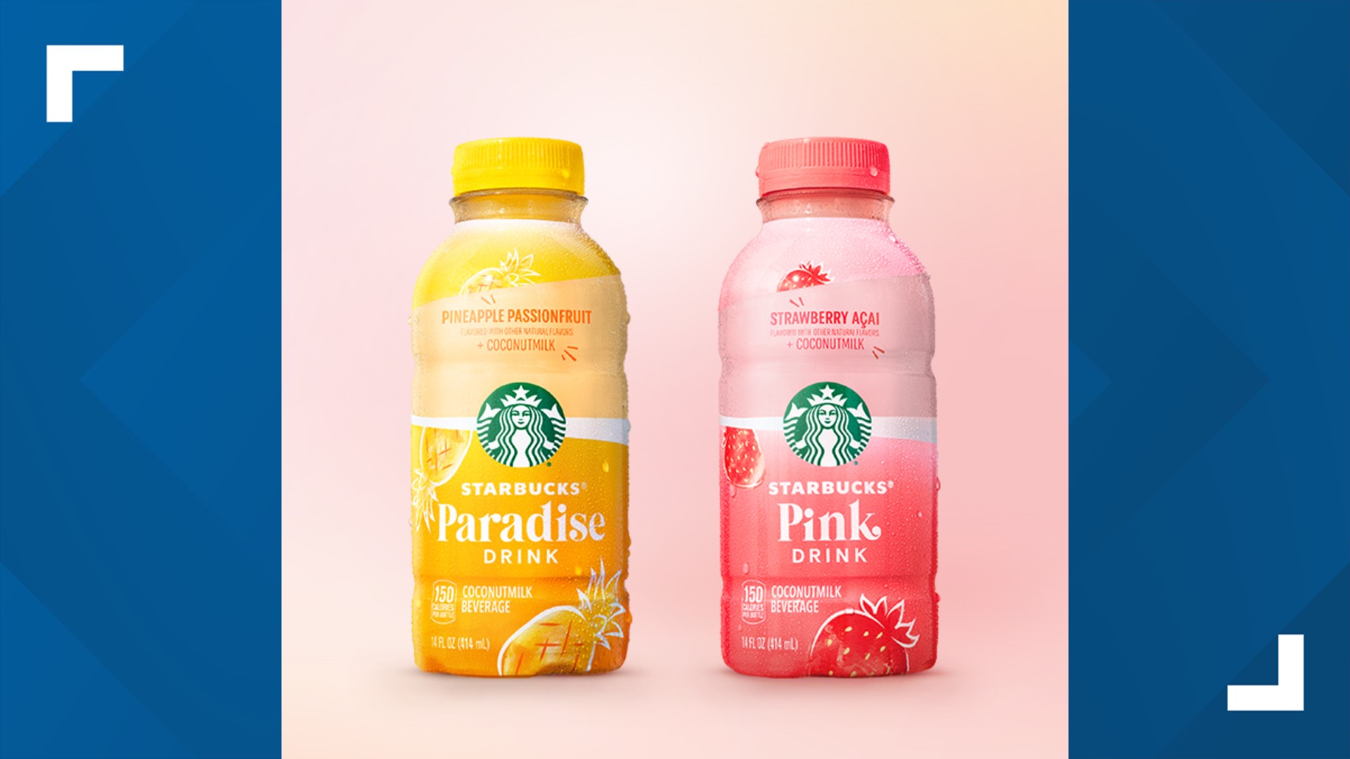 Starbucks fans rejoice: Popular Starbucks Pink Drink will hit grocery ...