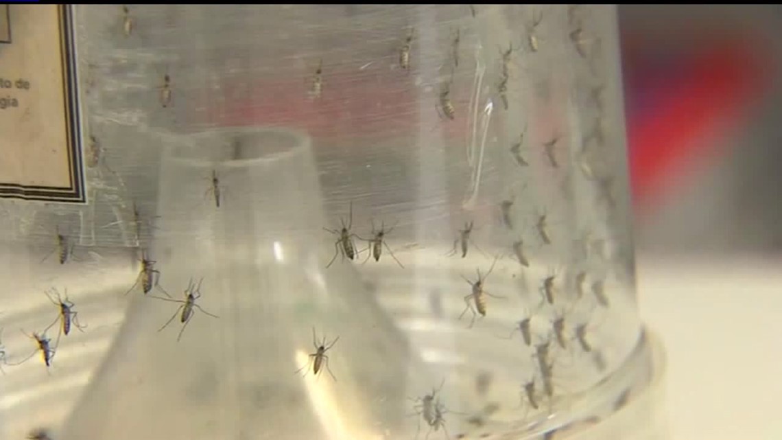 Mosquito samples taken in York city and Springettsbury Township test ...