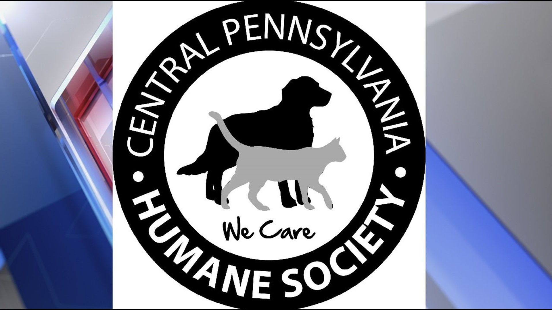Central PA Humane Society: 37 dogs available to be adopted | fox43.com
