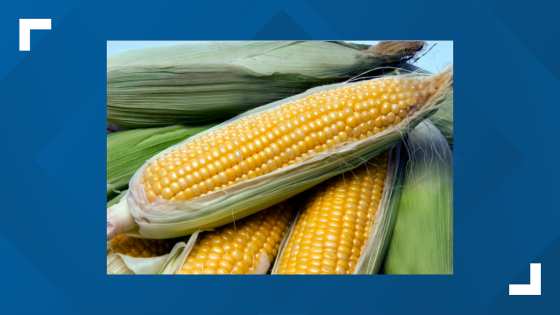 Here's where to find sweet corn for July 4 | fox43.com