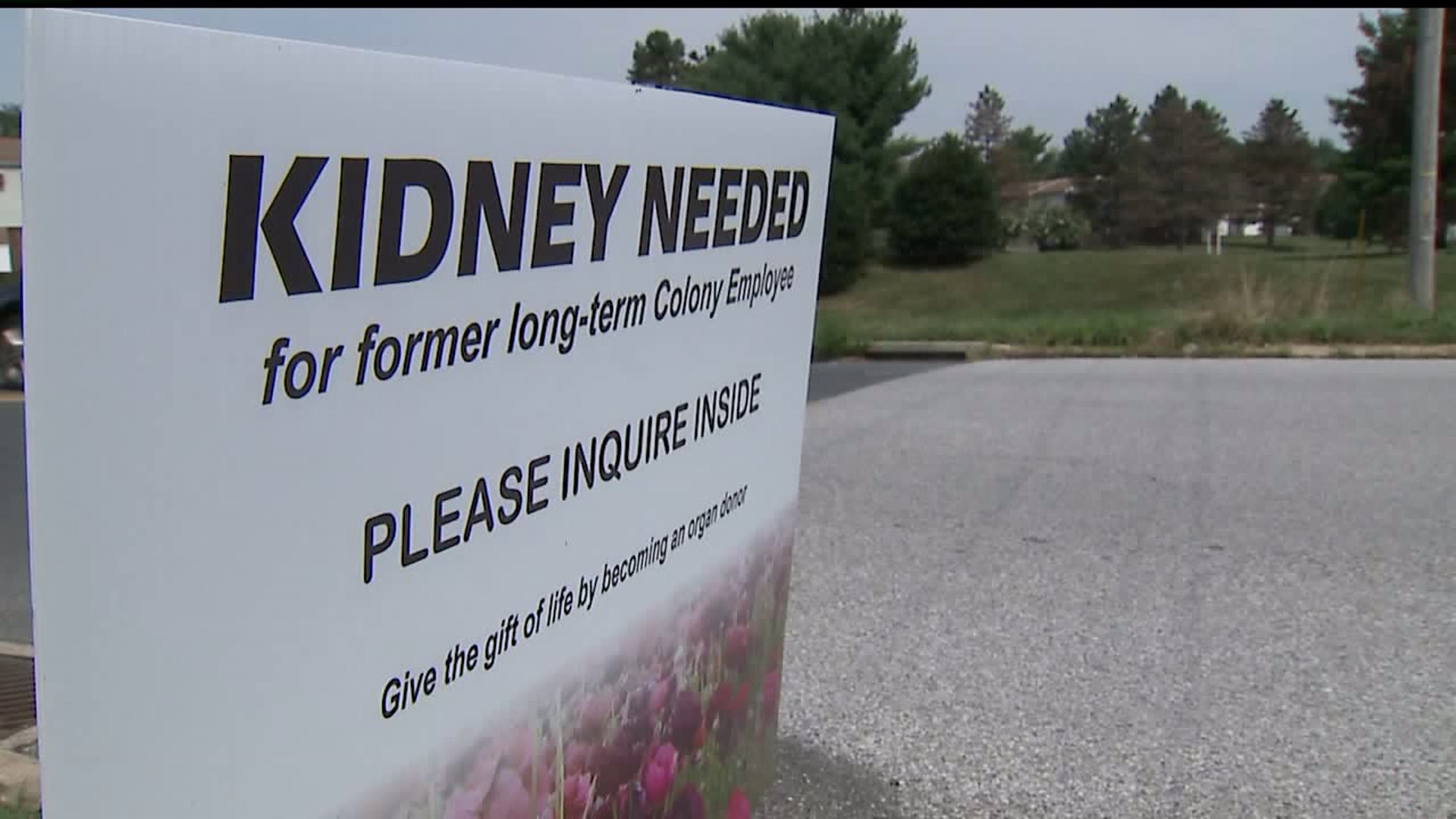York County company advertises for kidney with yard signs | fox43.com