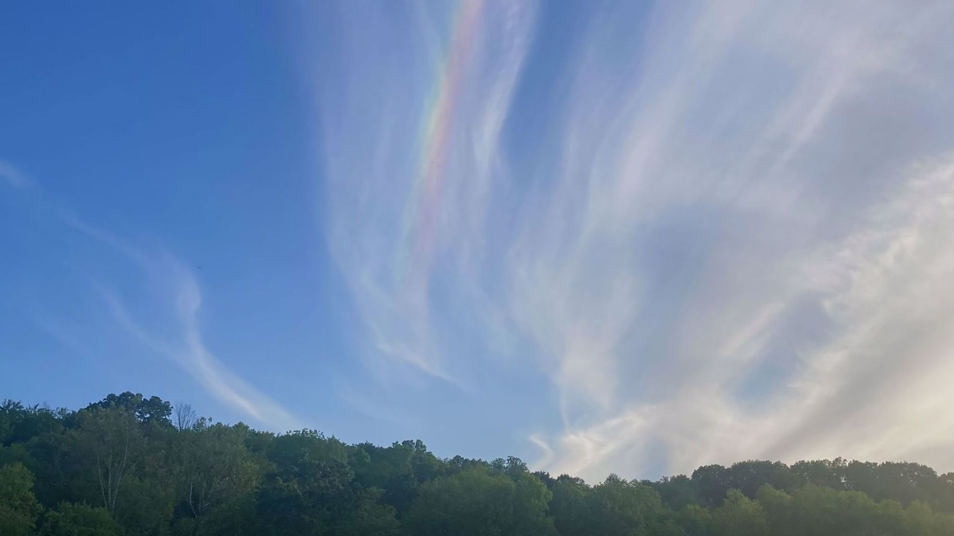 Sights of spring across Central Pa. | fox43.com