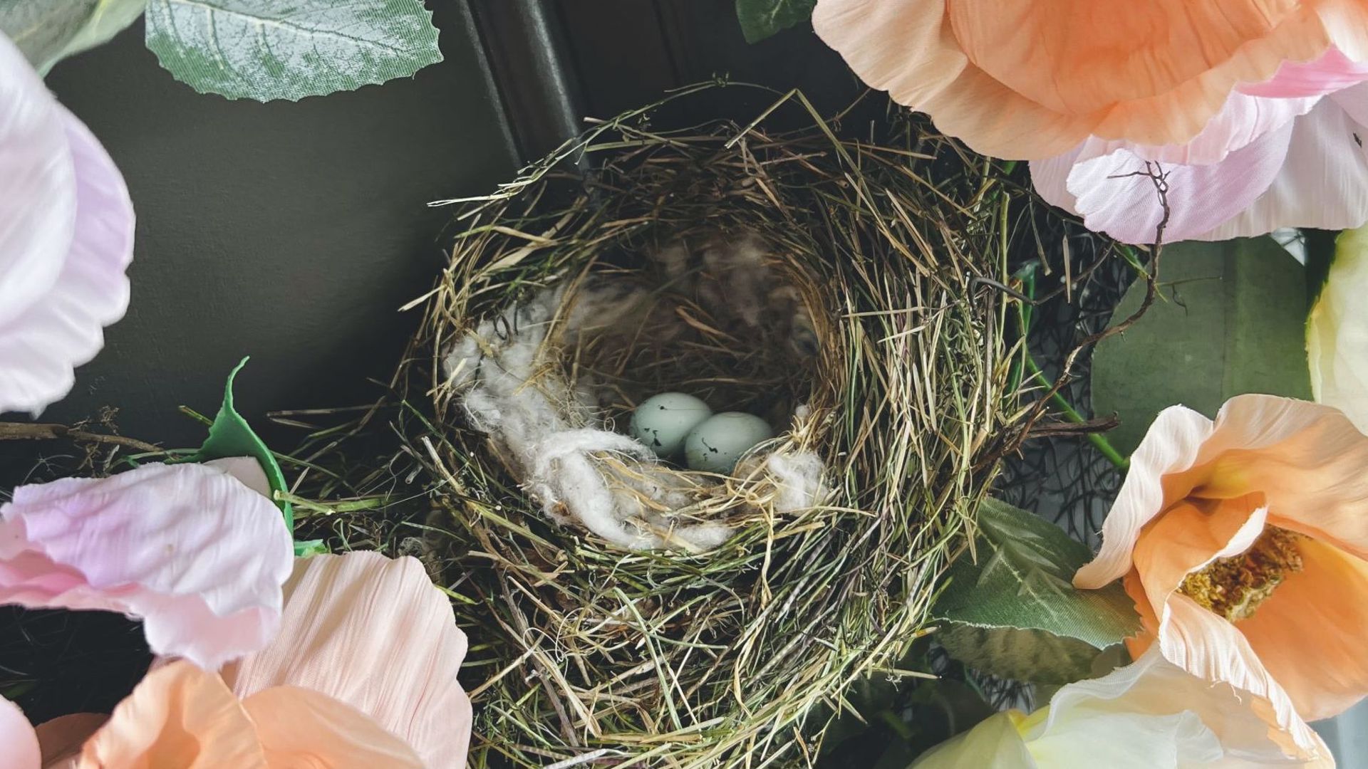 Sights of spring across Central Pa. | fox43.com