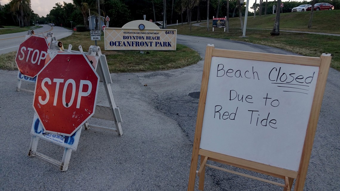 Red tide bloom off Florida coast has spread to state’s Atlantic side ...