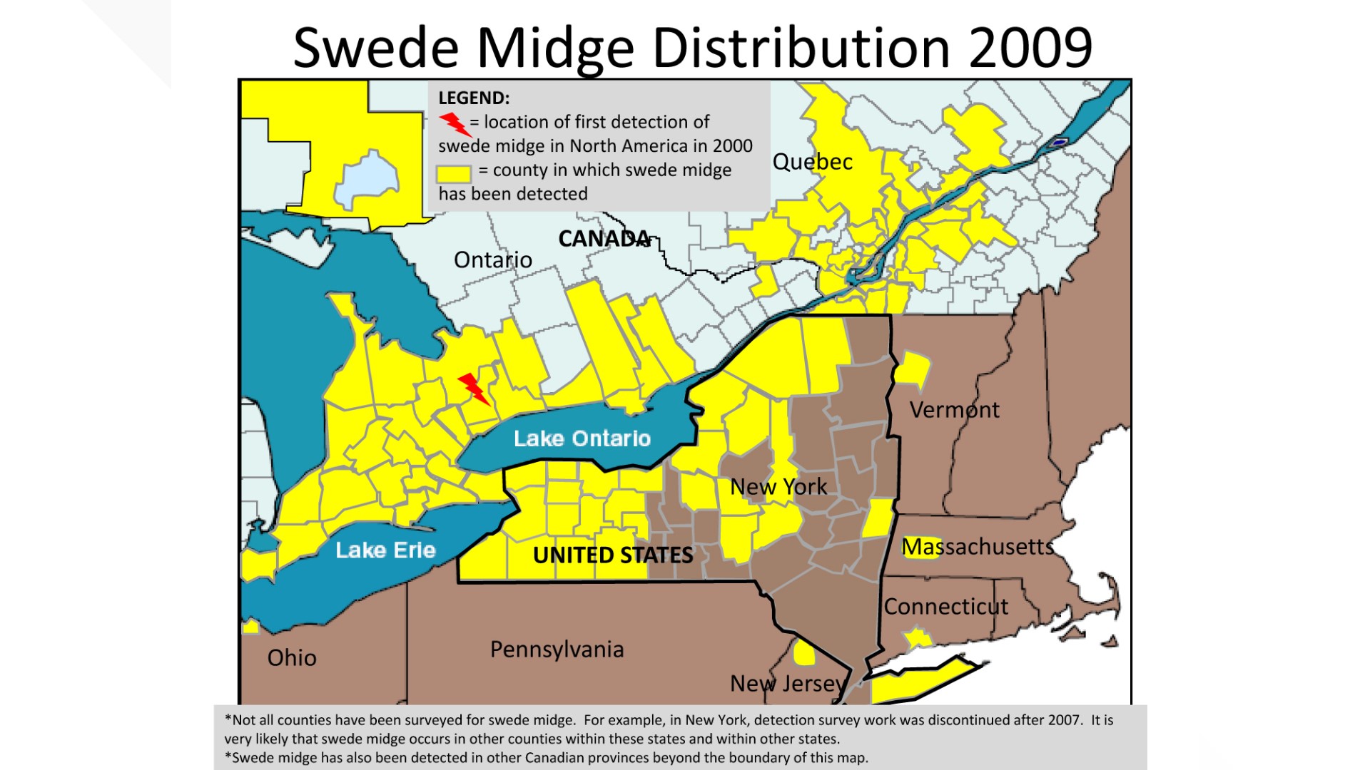 Another invasive species, Swede Midge, discovered for the first time in ...