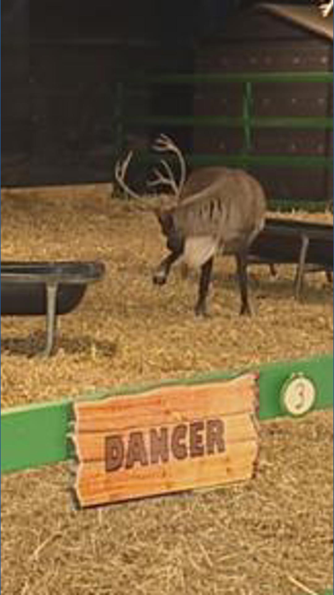 Timeline: The murder of Laurie Show, trials and appeals of co ...