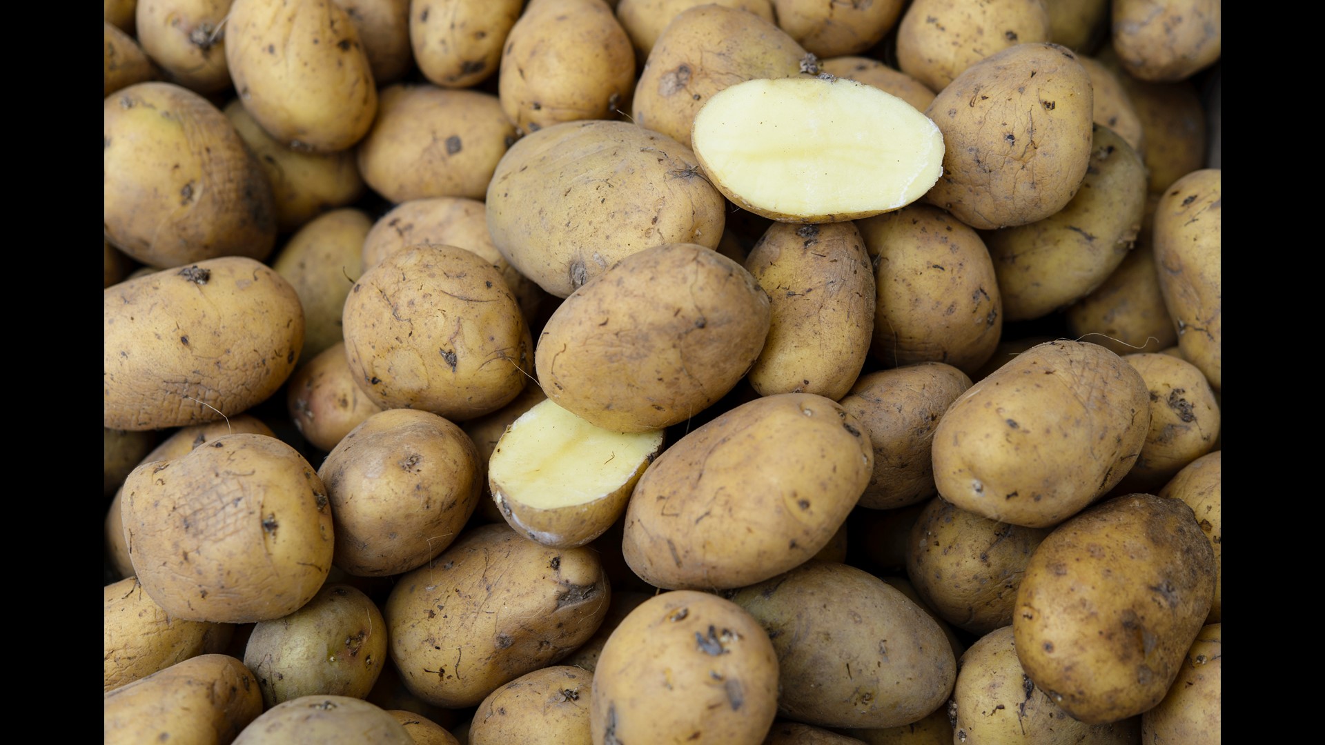 Scientists successfully grow a potato in Mars-like conditions | fox43.com