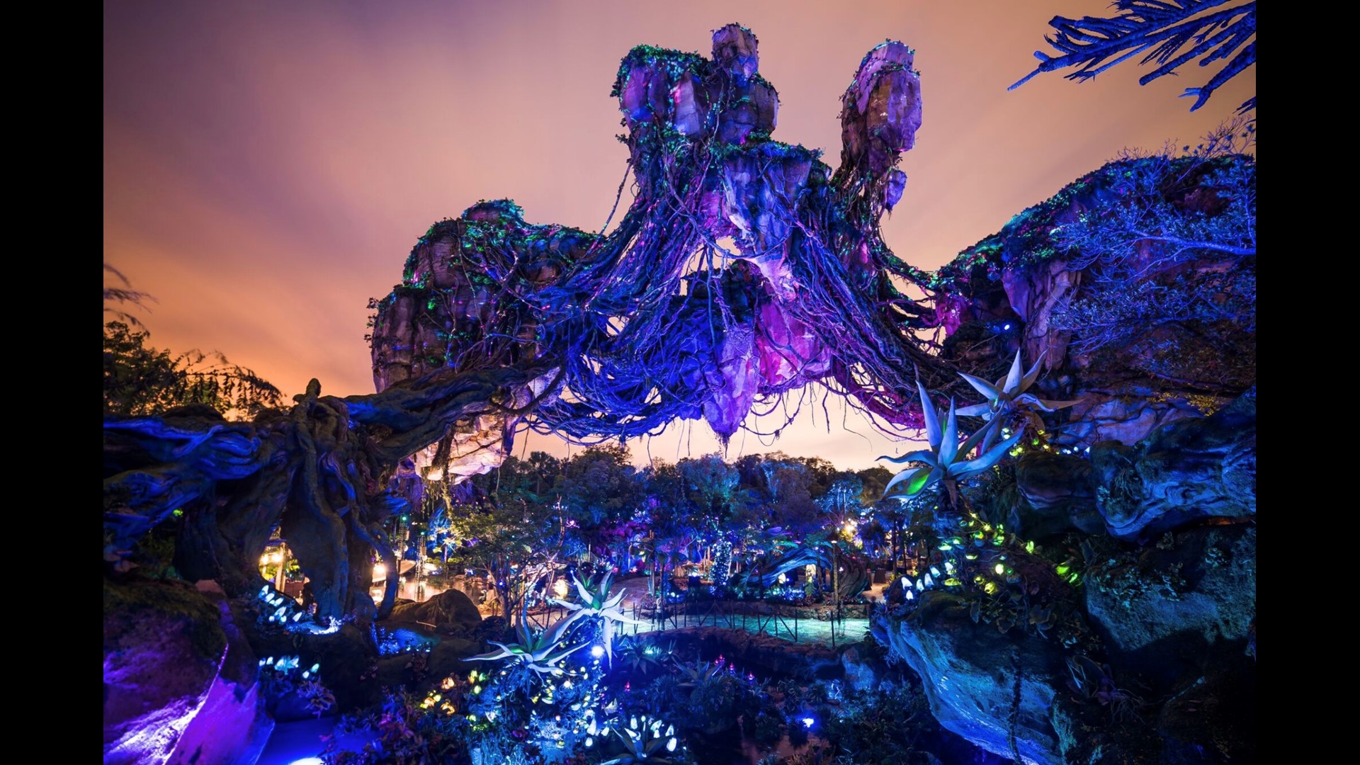 13 stunning photos of Disney’s ‘Pandora: The World of Avatar’ at night ...