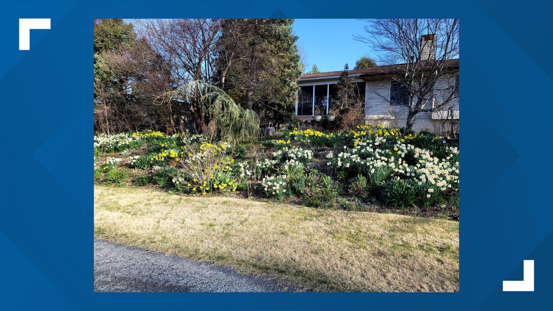 PHOTO GALLERY: Springtime in Central Pa. | fox43.com