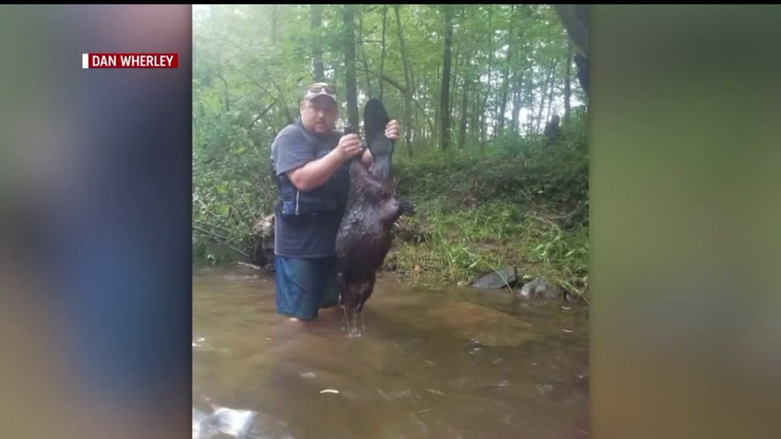 Rabid beaver attacks father and daughter kayaking in Pennsylvania ...