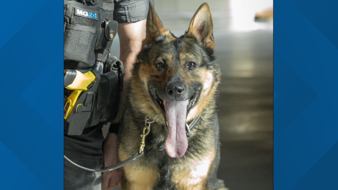 Police department mourns death of K9 | fox43.com