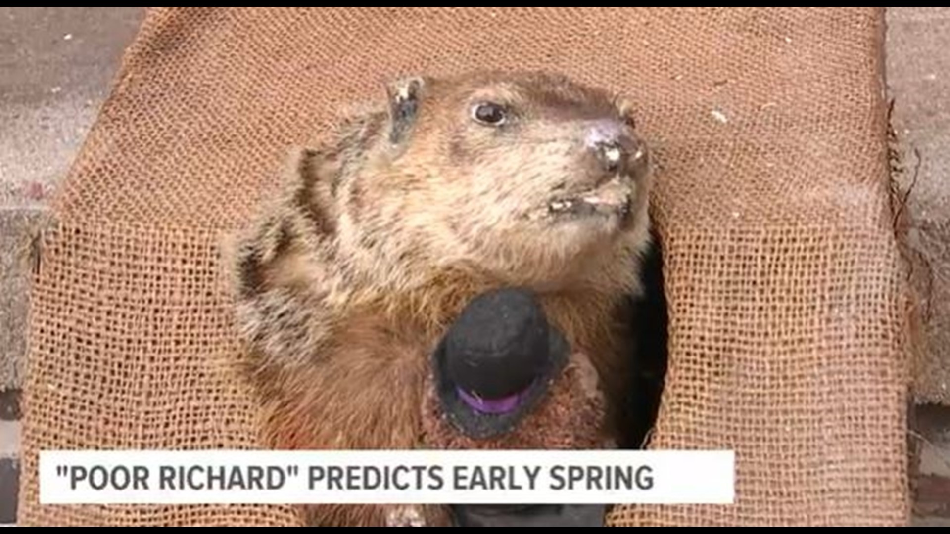 Groundhog Day 2023 | OK, we know what Phil said, but what about our ...