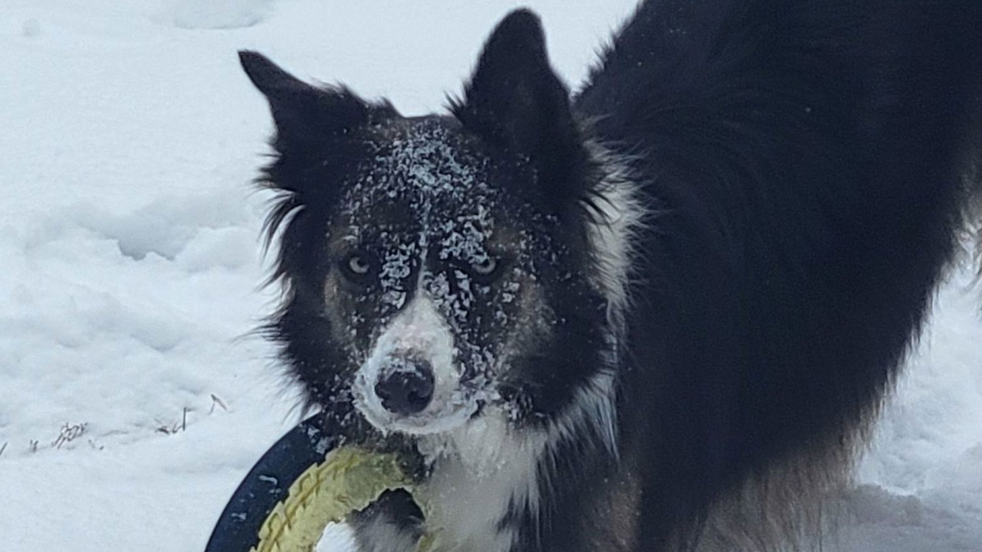 PHOTOS: Snow day fun in central Pennsylvania | fox43.com