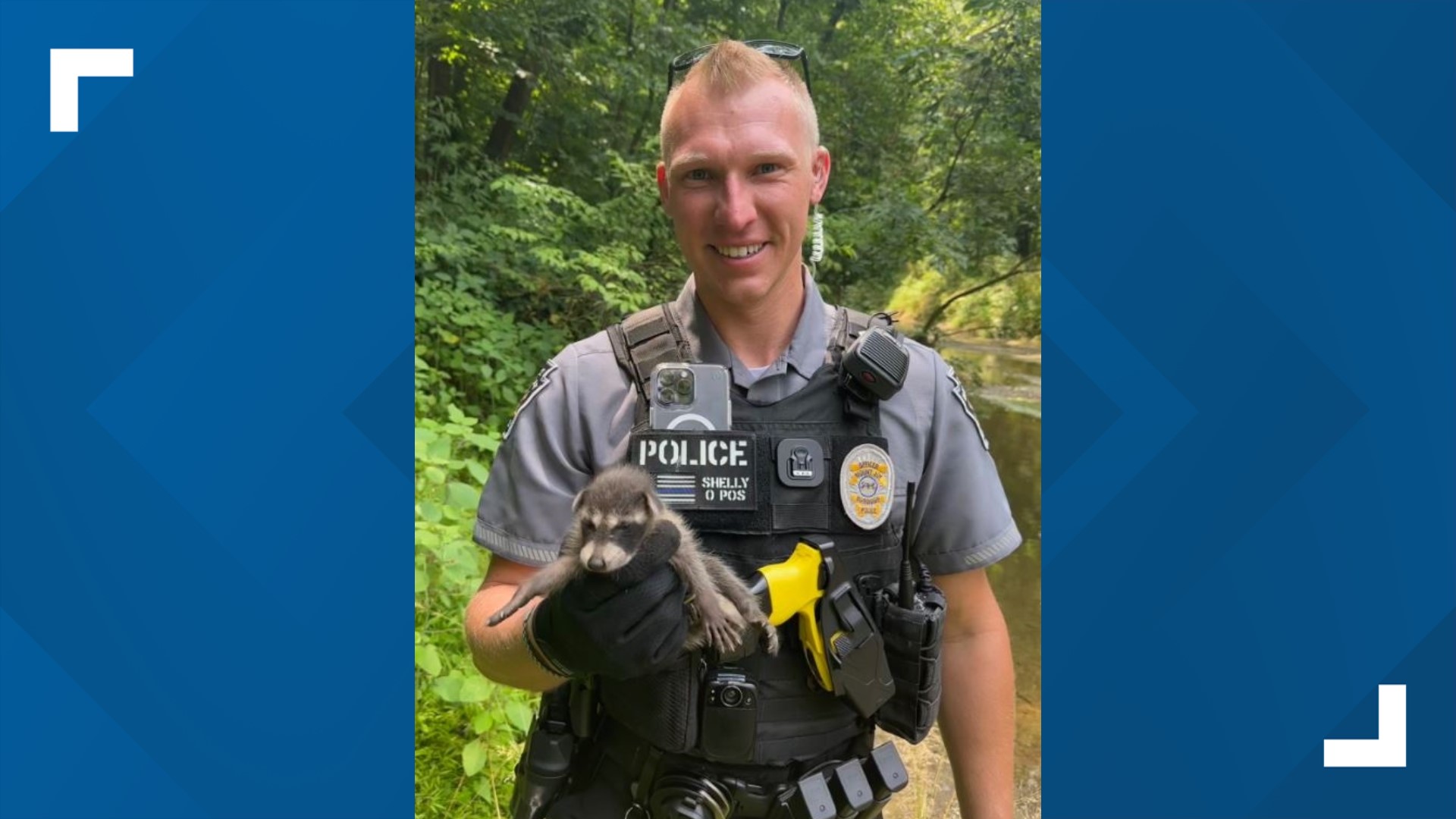 Lancaster County raccoon rescue | fox43.com