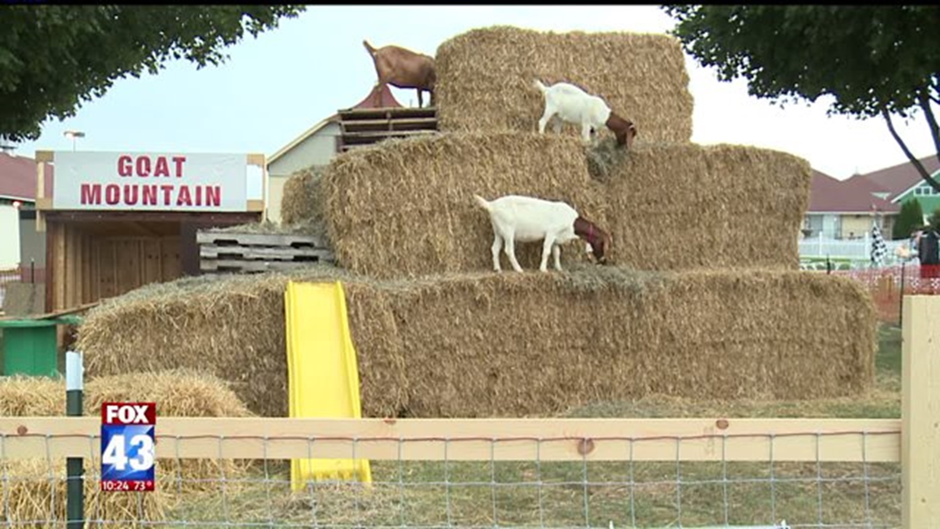 York Fair officially underway | fox43.com