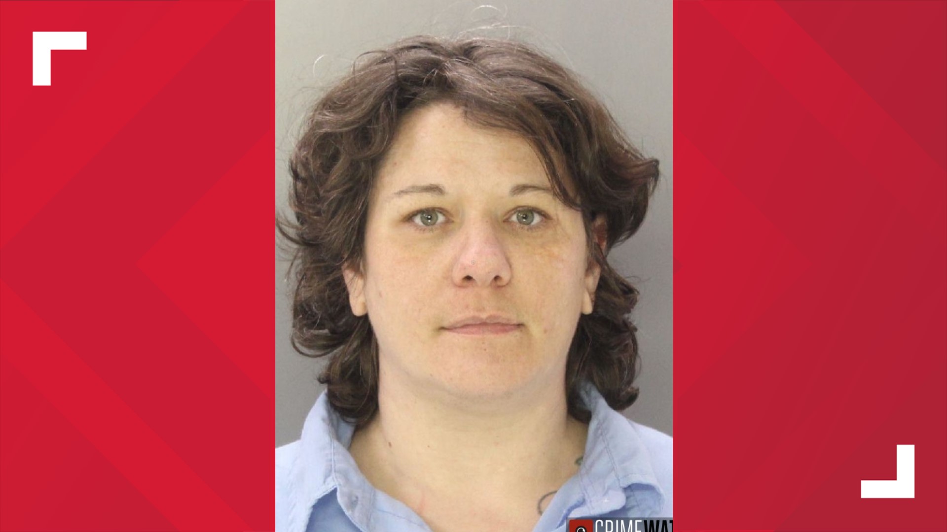 Mechanicsburg woman sentenced up to 12 years in prison for crime spree ...